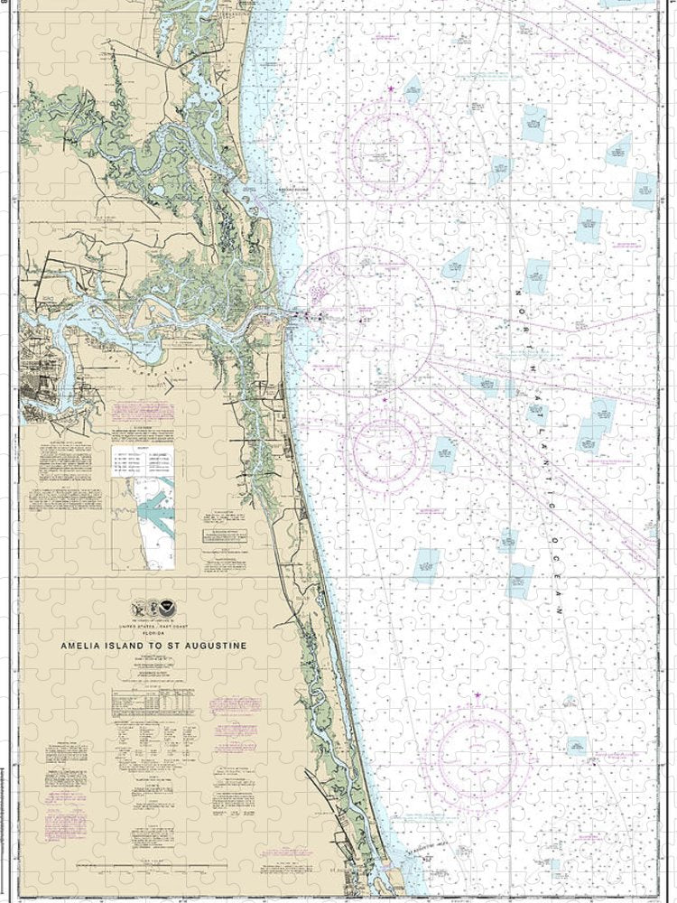 Nautical Chart 11488 Amelia Island St Augustine Puzzle | SeaKoast