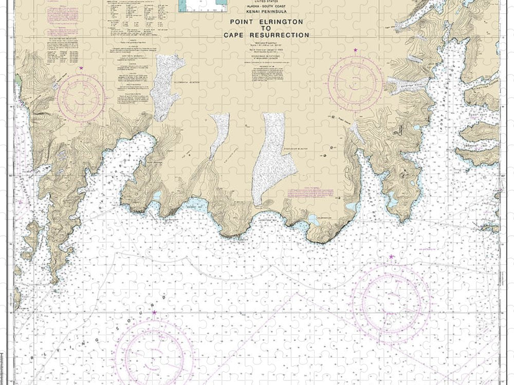 Nautical Chart 16683 Point Elrington Cape Resurrection Puzzle | SeaKoast