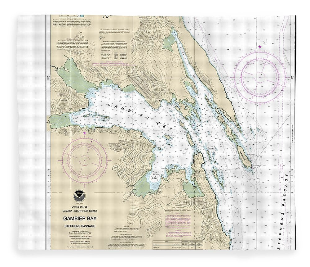 Nautical Chart-17362 Gambier Bay, Stephens Passage - Blanket | Nautical ...